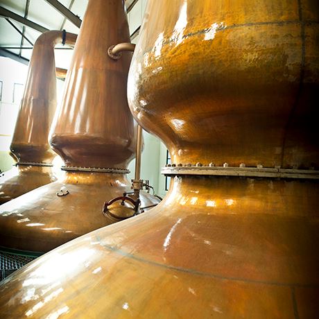 Emperador Distillers Inc | Scotch Whisky