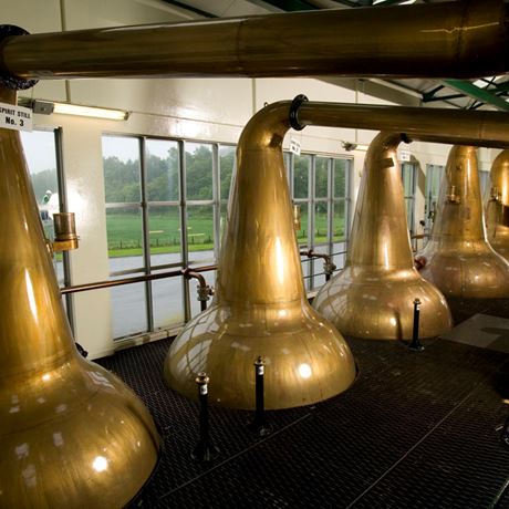 Glentauchers | Scotch Whisky