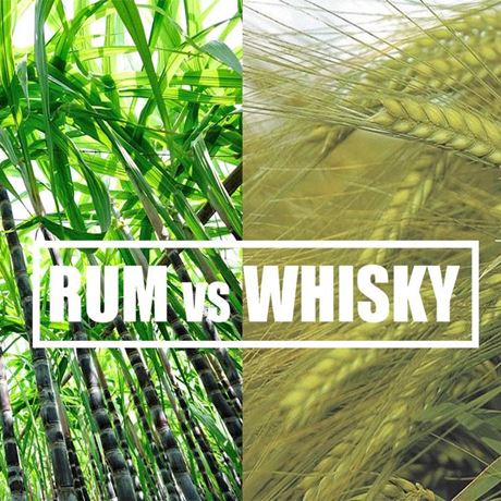 Rum vs Whisky | Scotch Whisky