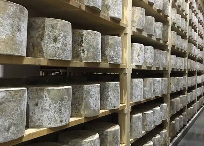The thoroughly modern cheesemakers | Scotch Whisky